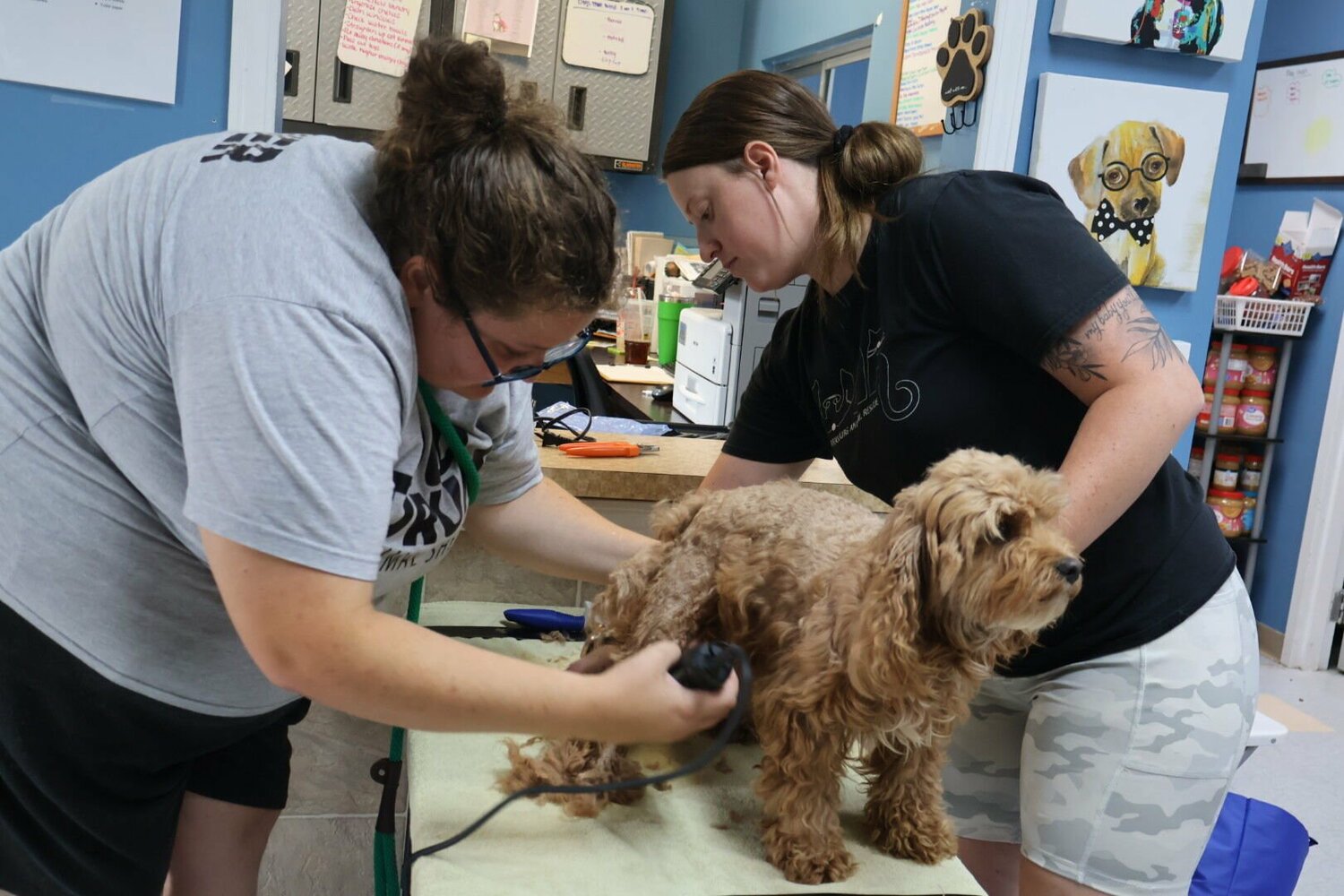 Old Drum Animal Shelter rebrands, increases staffing | Star-Journal