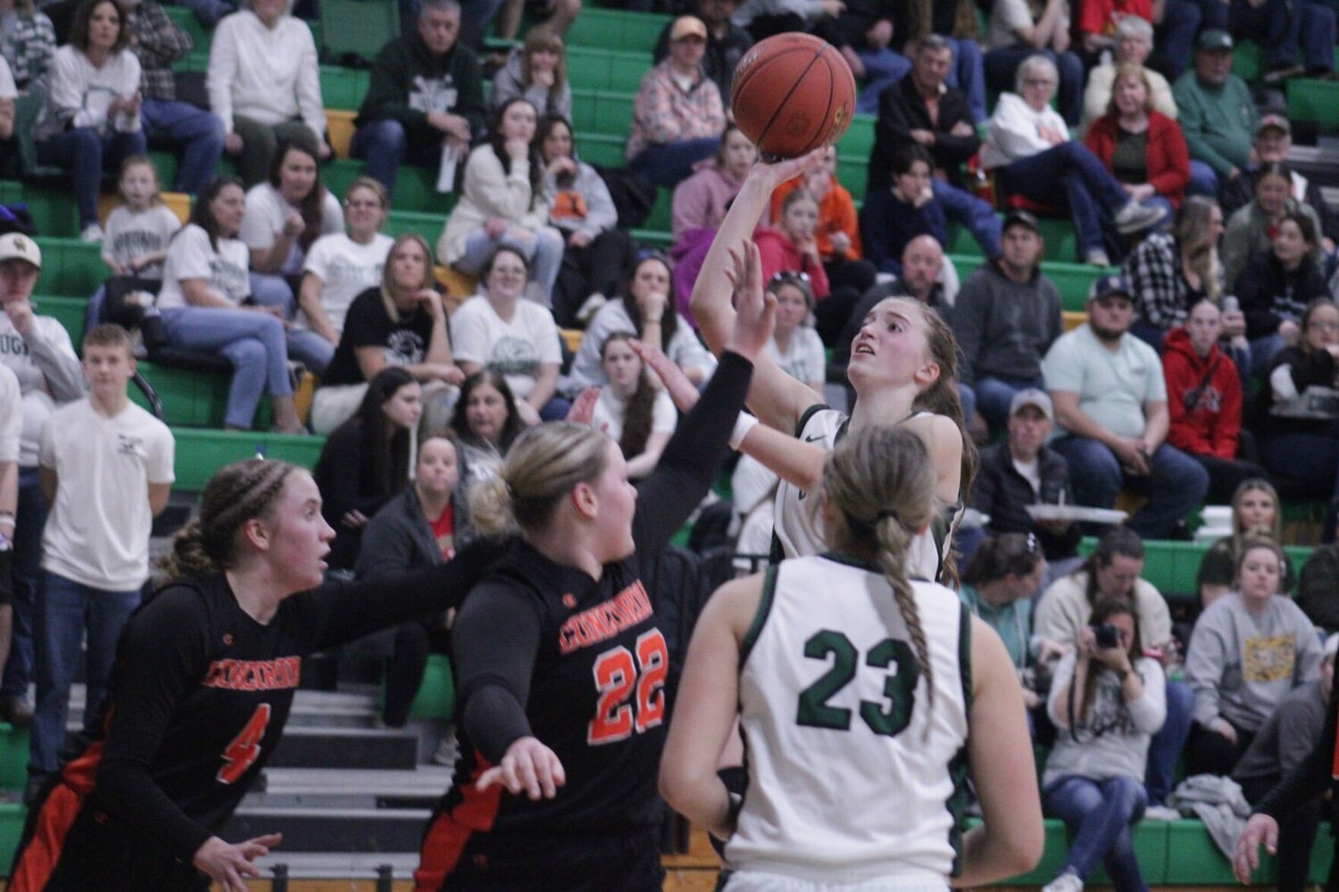 Crest Ridge girls claim F&C Bank Cougar Classic title | Star-Journal