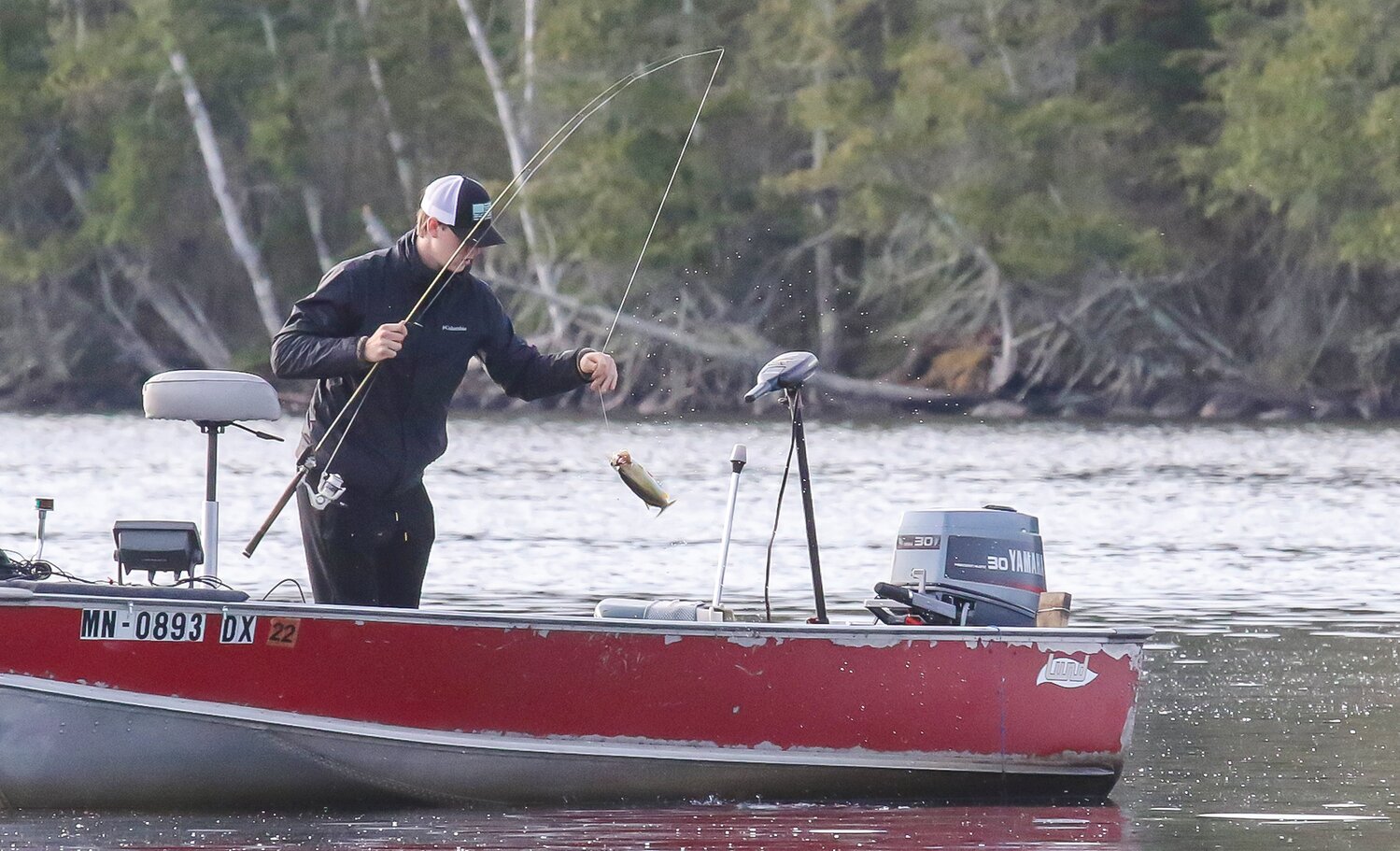 Size matters when it comes to mercury - The Timberjay