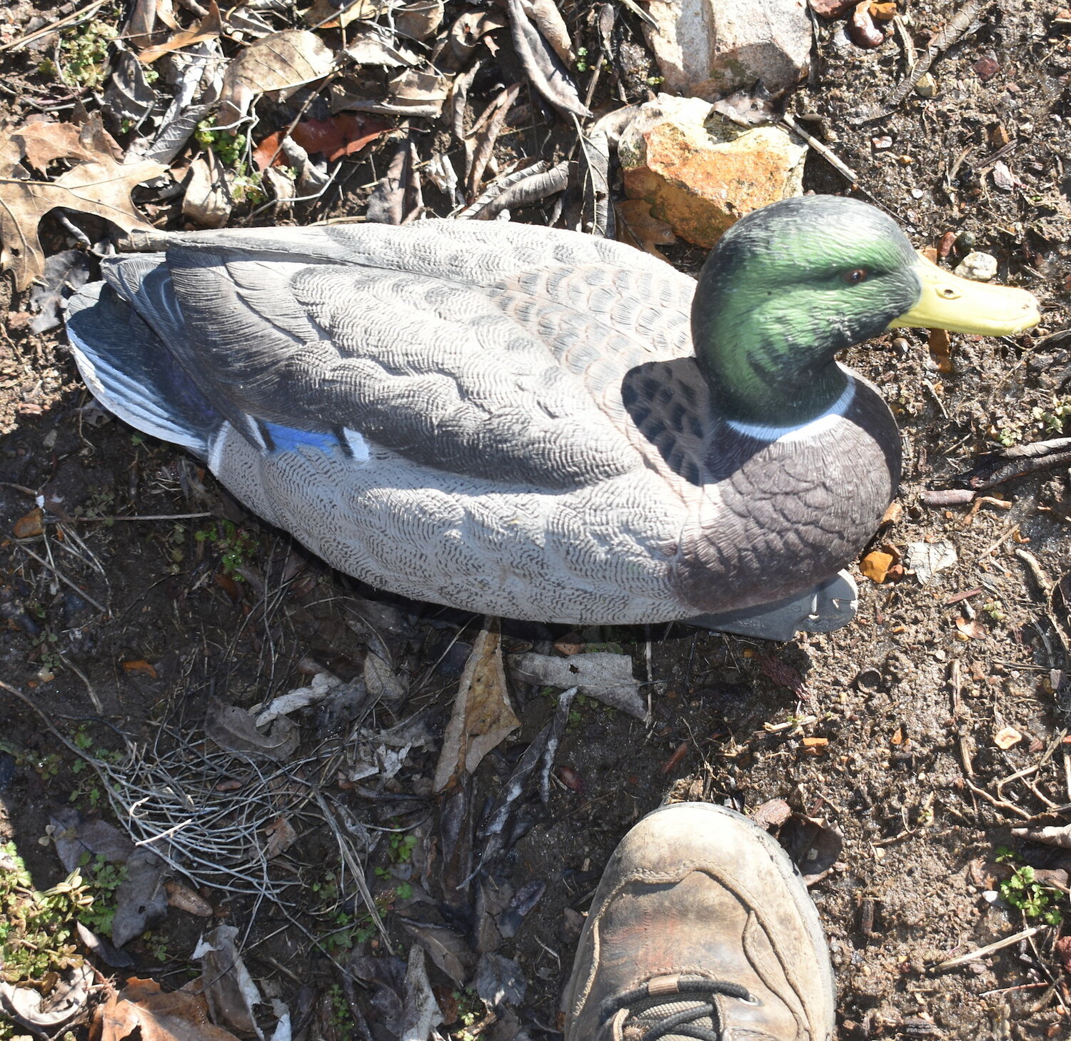 The prayer duck | The Unterrified Democrat
