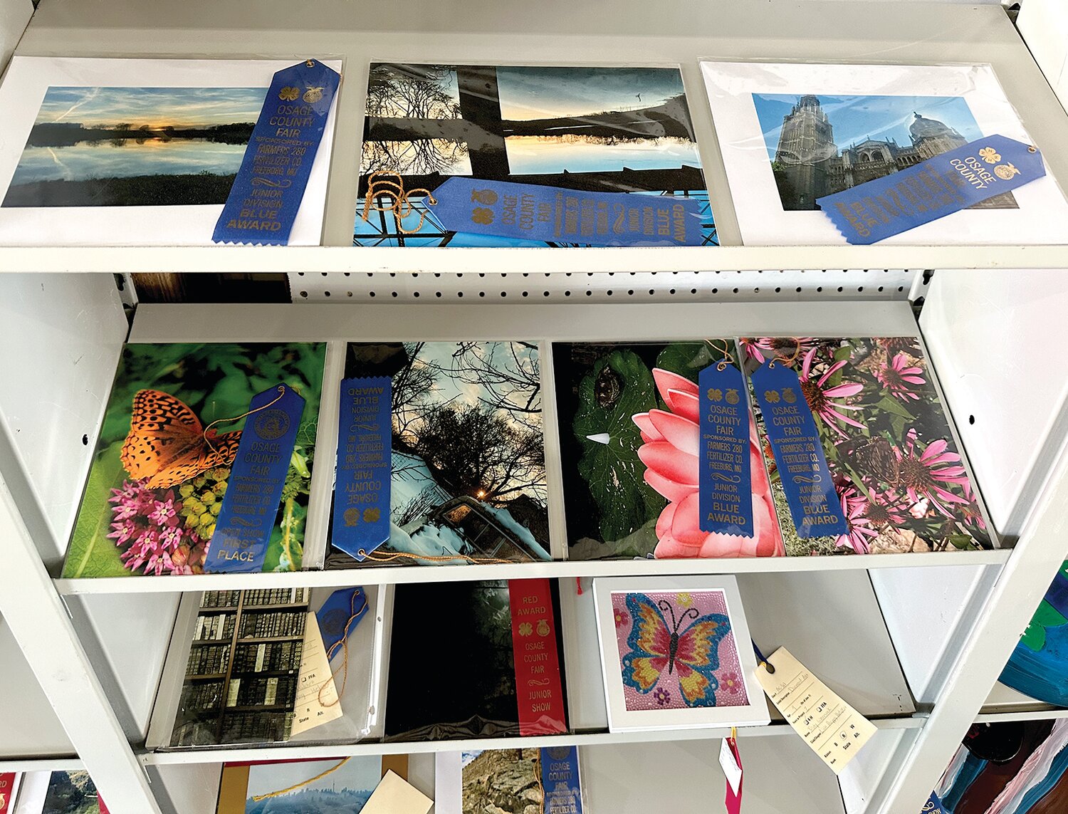 Osage County Fair 4-H Exhibit information, winners | The Unterrified ...